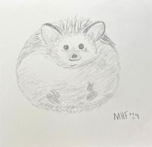 13+ Easy Creative Drawing Ideas