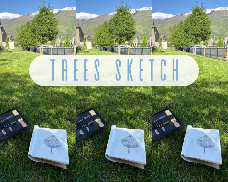 5 Cool Trees Sketch
