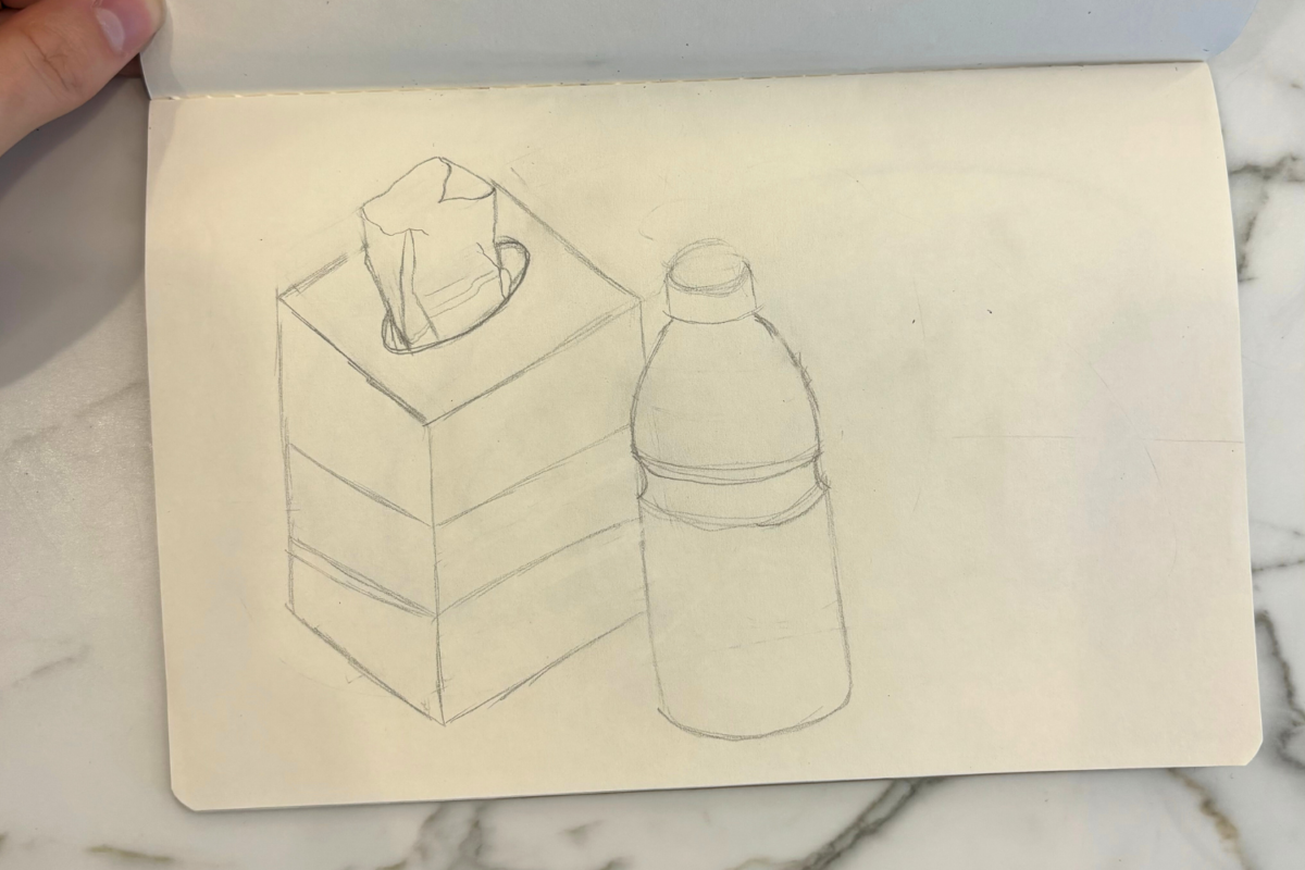 17 Great Still Life Drawing Ideas