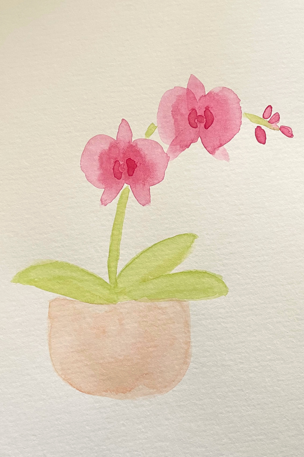 50 Simple Watercolor Painting Ideas