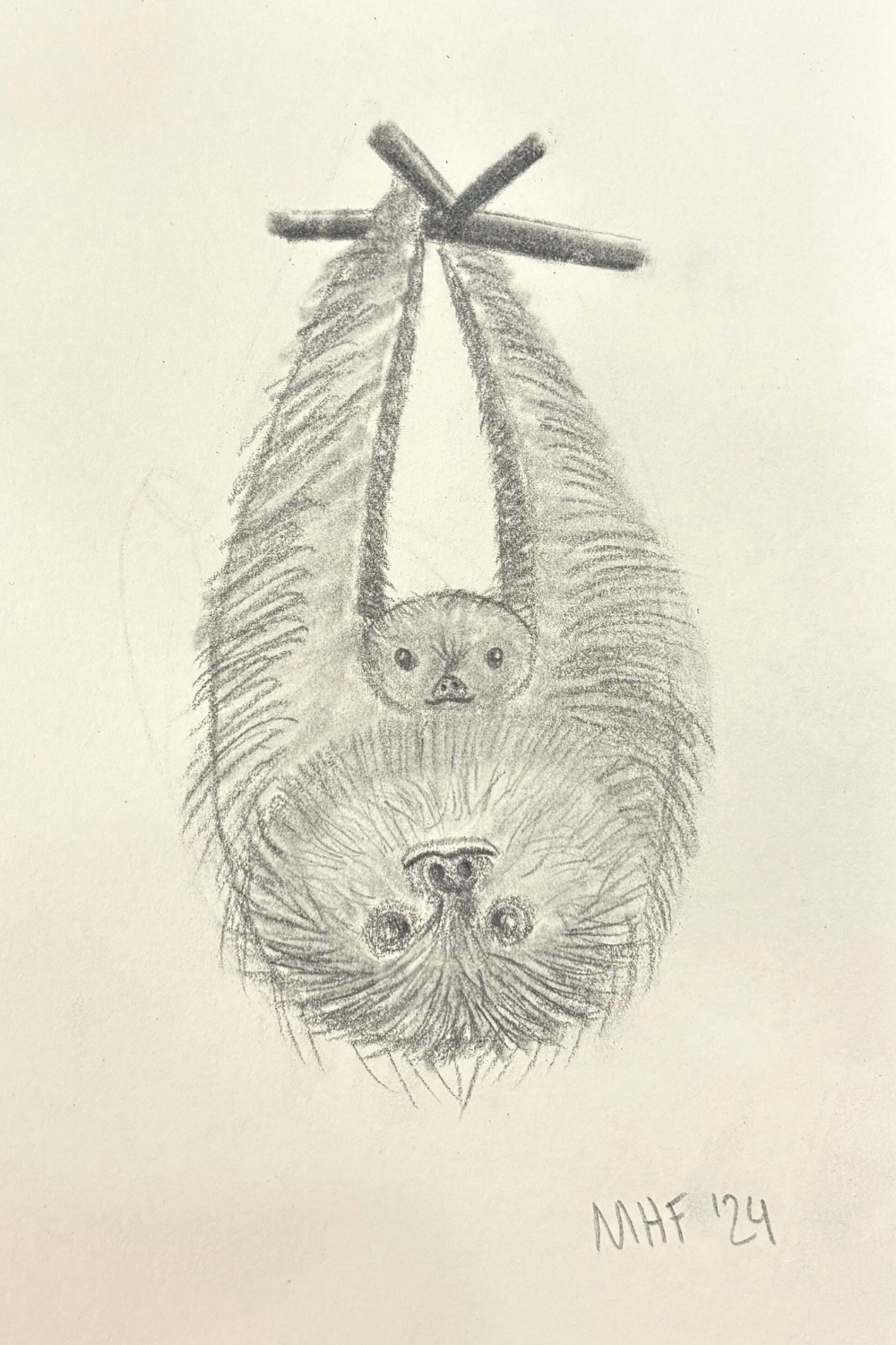 Beginners Guide: Easy Cute Animal Drawings