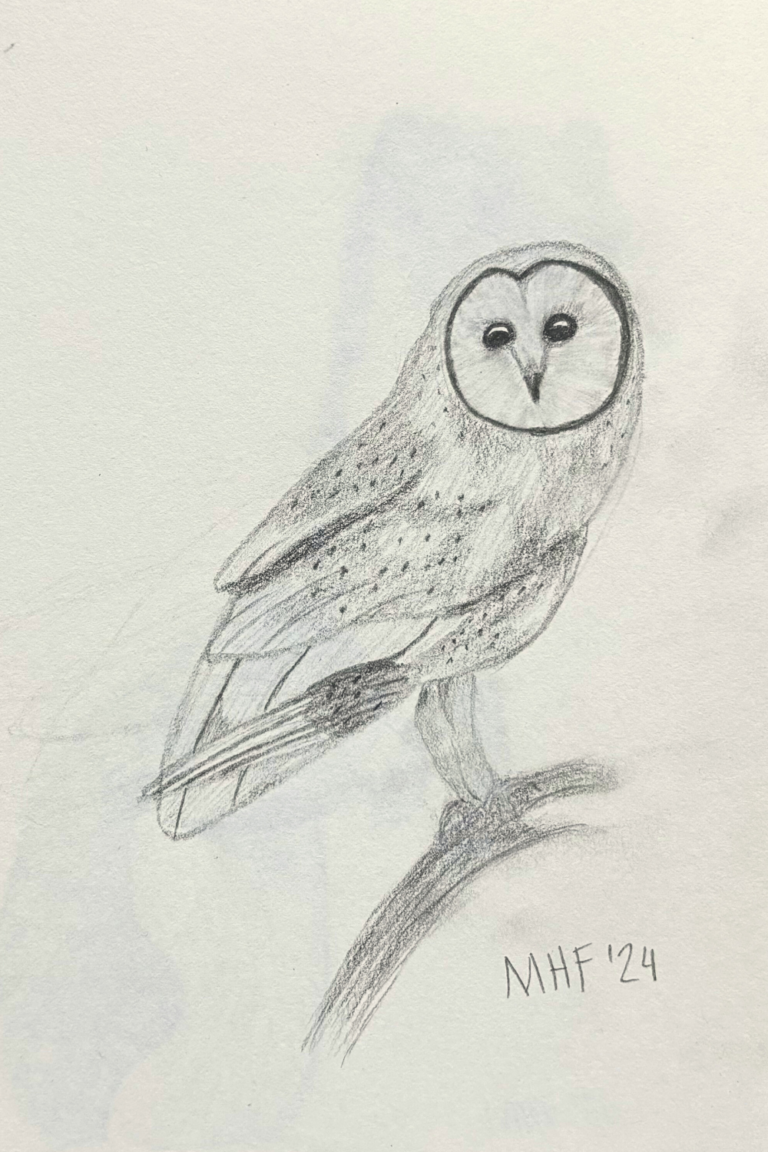 Beginners Guide: Easy Cute Animal Drawings