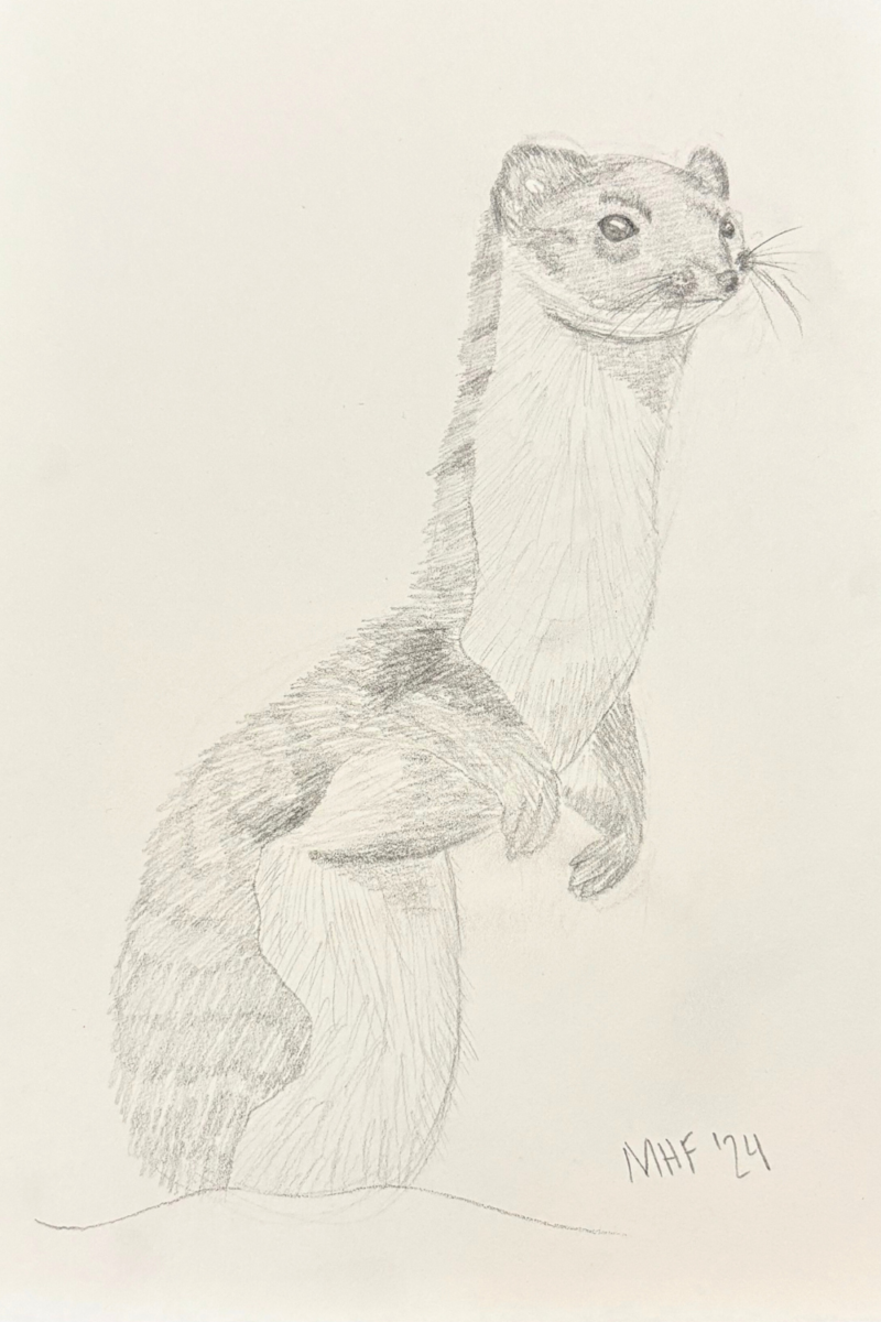 5+ Pencil Shading Art: A Beginner's Guide