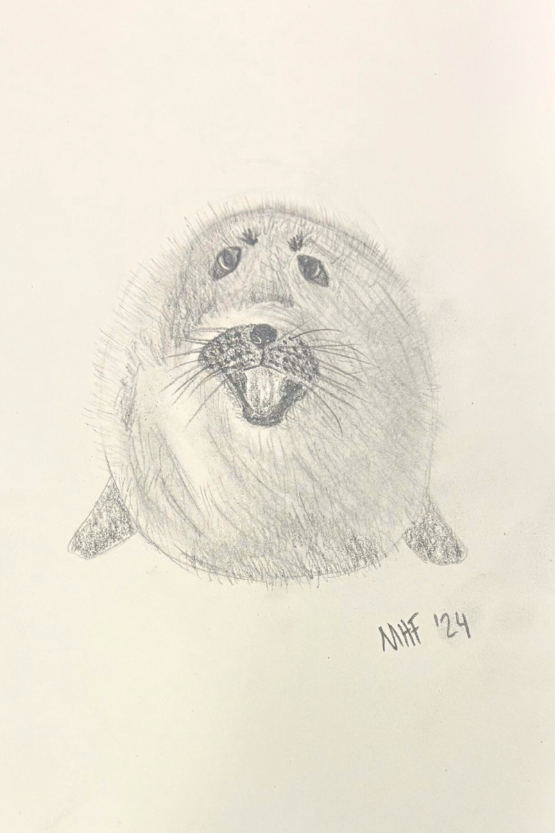 5+ Pencil Shading Art: A Beginner's Guide