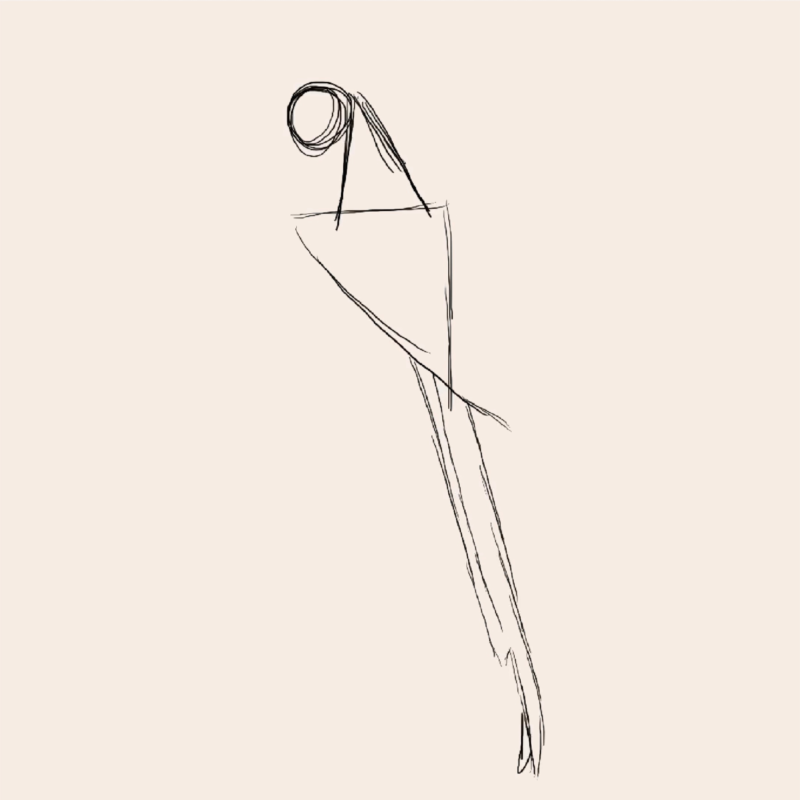 Parrot Sketch using Basic Drawing Shapes