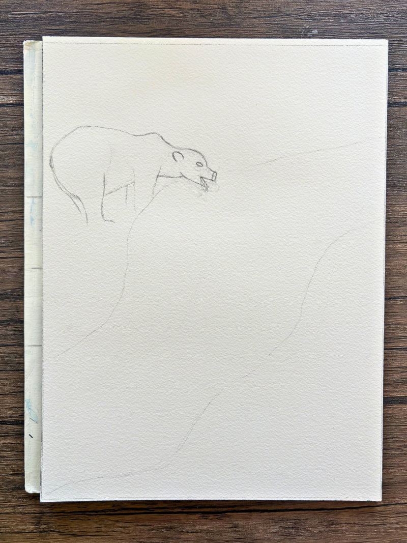 Everything You Need to Know About a Simple Bear Drawing
