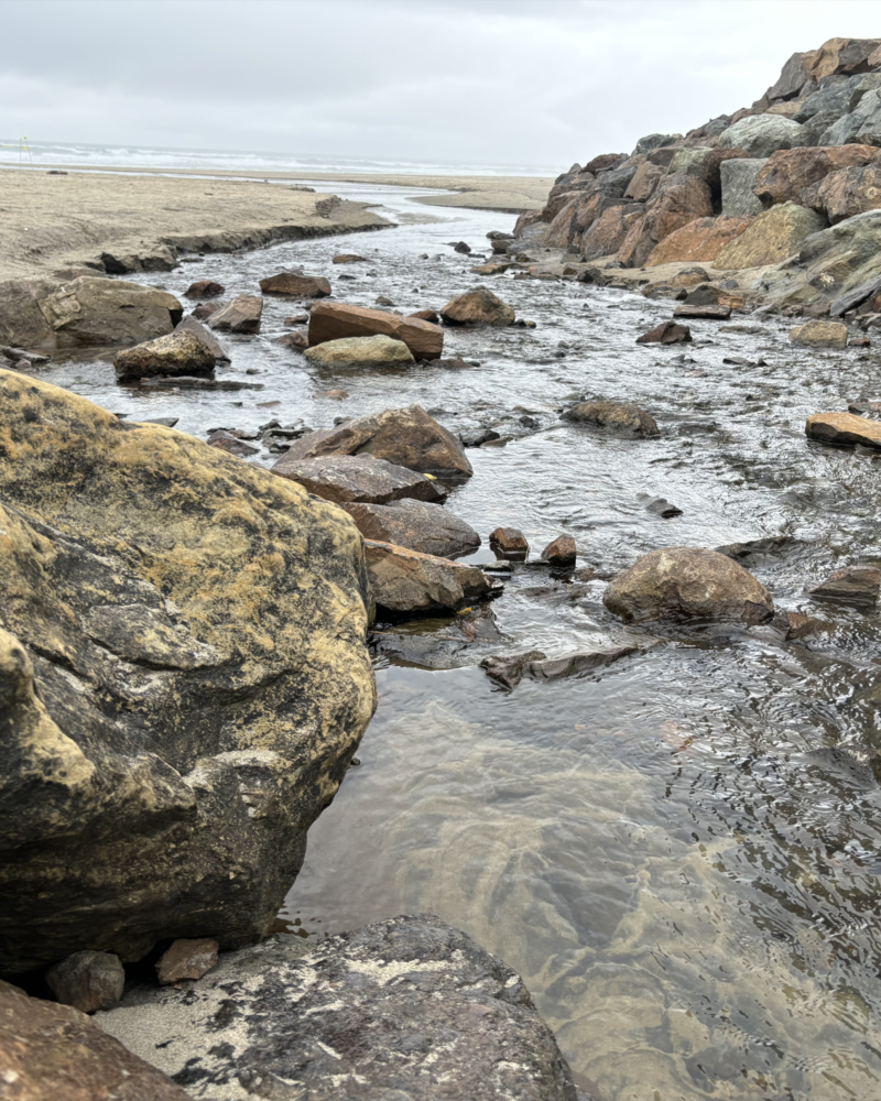 How to do a River Painting with Procreate that Feels Like Doing ...